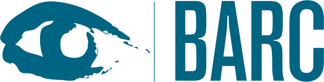 BARC's BI & Analytics Survey 23 - Emark